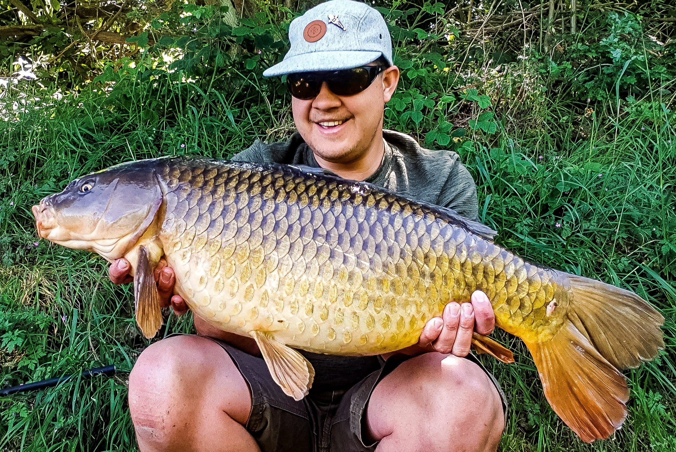 Pb common | Total Carp